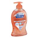 Liquid Soap & Body Wash | Hy-Vee Aisles Online Grocery Shopping